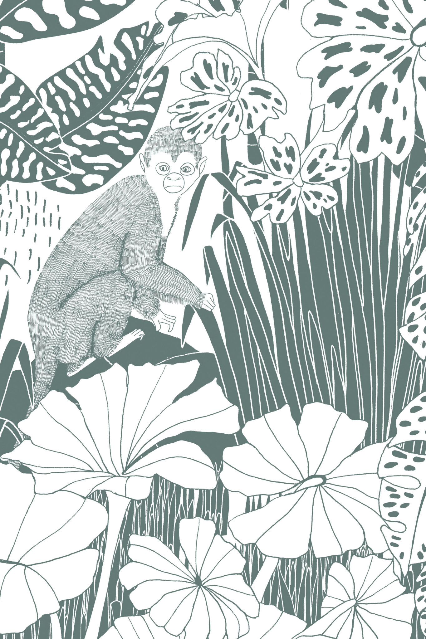 Amazonie Négatif - emane